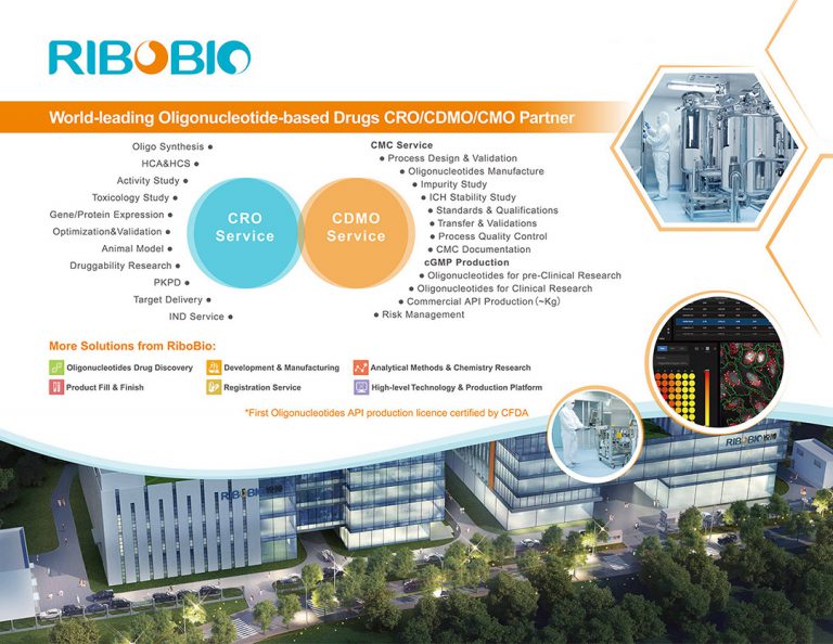 Professional CDMO/CMO Service & Solution | RiboPharm CDMO/CMO